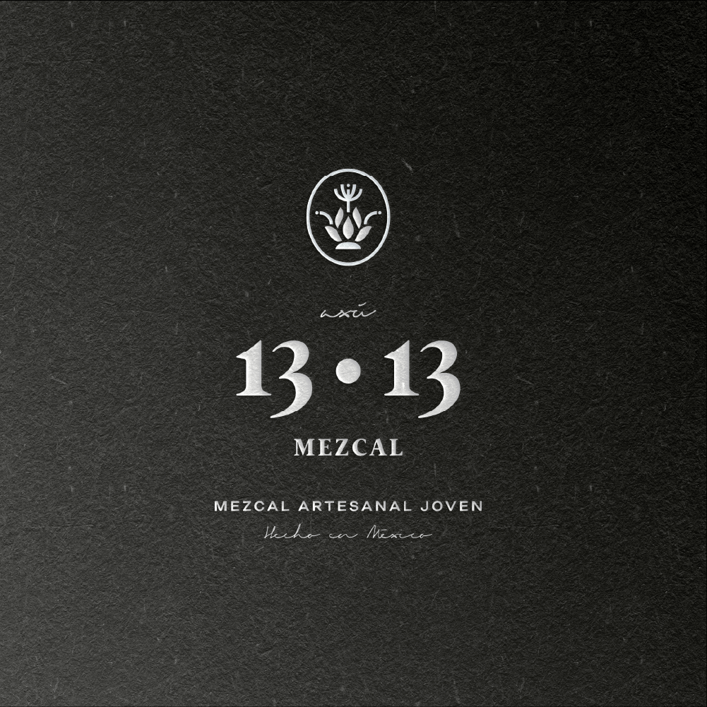 Descripción proyecto 13 · 13 AXU | Punto & Chroma